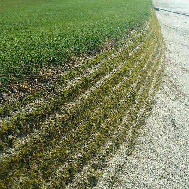 Ecobunker - Design and construction of the synthetic golf bunker